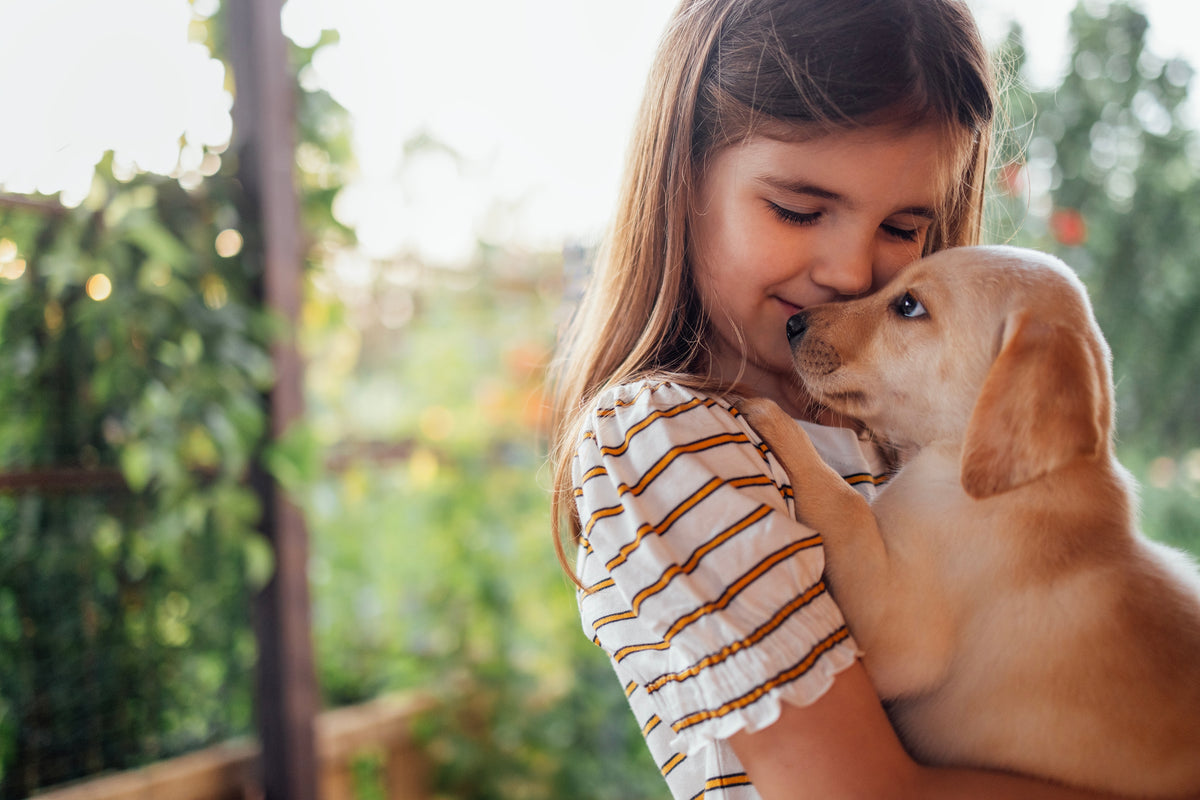 The Role of Pets in Teaching Kindness to Kids