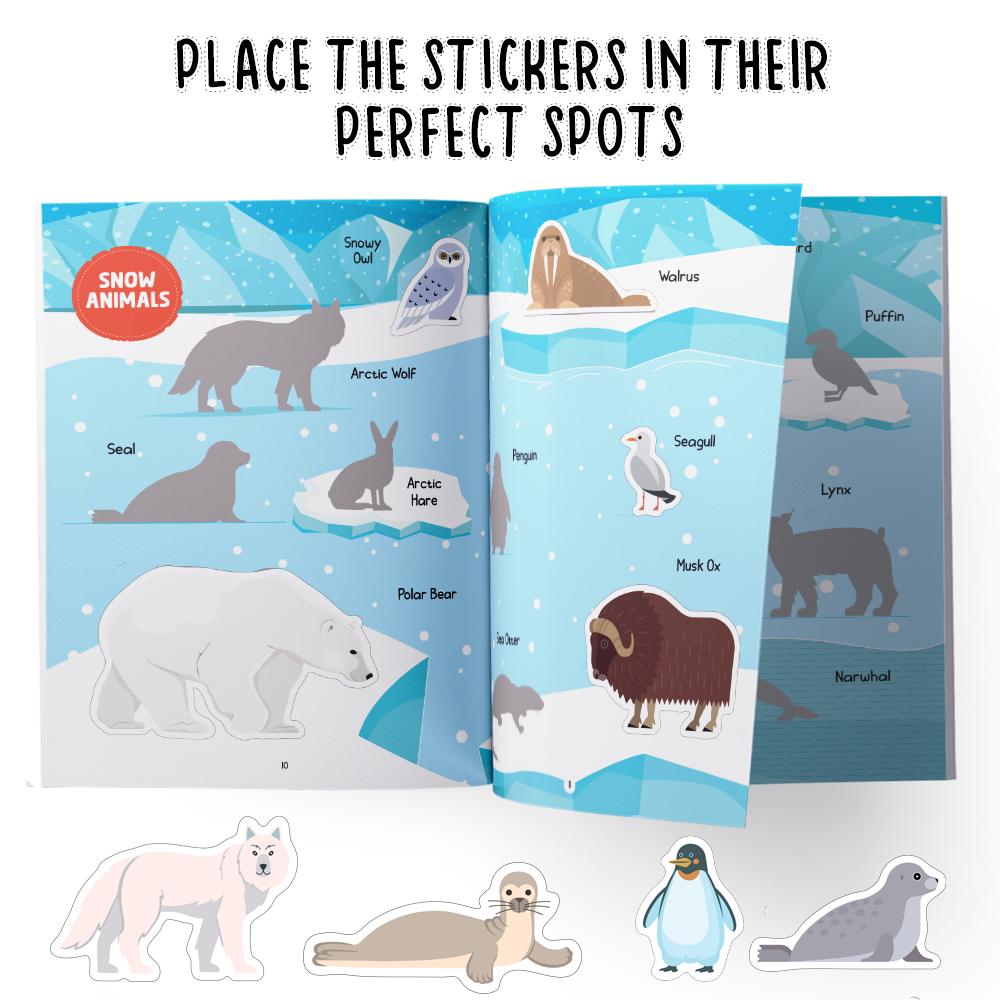 My First Sticker Books (Set of 4) - Age 3+ | Early Learning Activity B